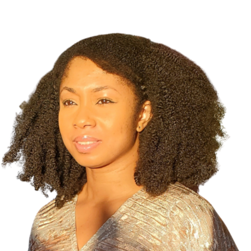 About BAF - Building African Fashion